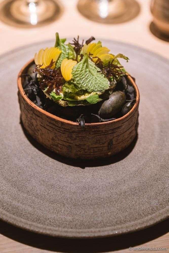 First Look: Noma’s Seafood Season 2020 - All Dishes From the New Menu