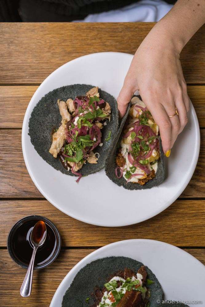 Taco María | Mexican-Inspired Tasting Menu in Orange County