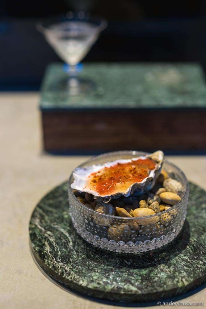 Hoze - Nordic-Japanese Sushi Restaurant in Gothenburg, Sweden
