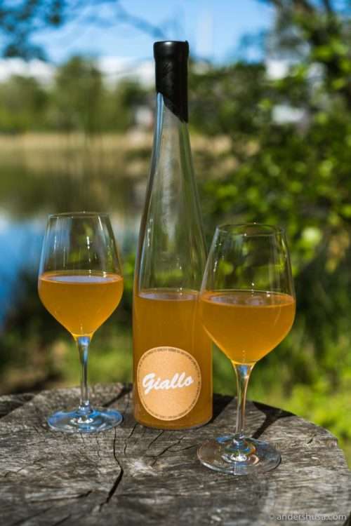 Our All-Time Favorite Natural Wines | The Best Producers & Bottles