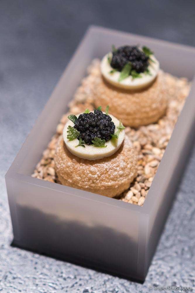 Video: Alchemist 2.0 - Insane 50 Courses of Food Art