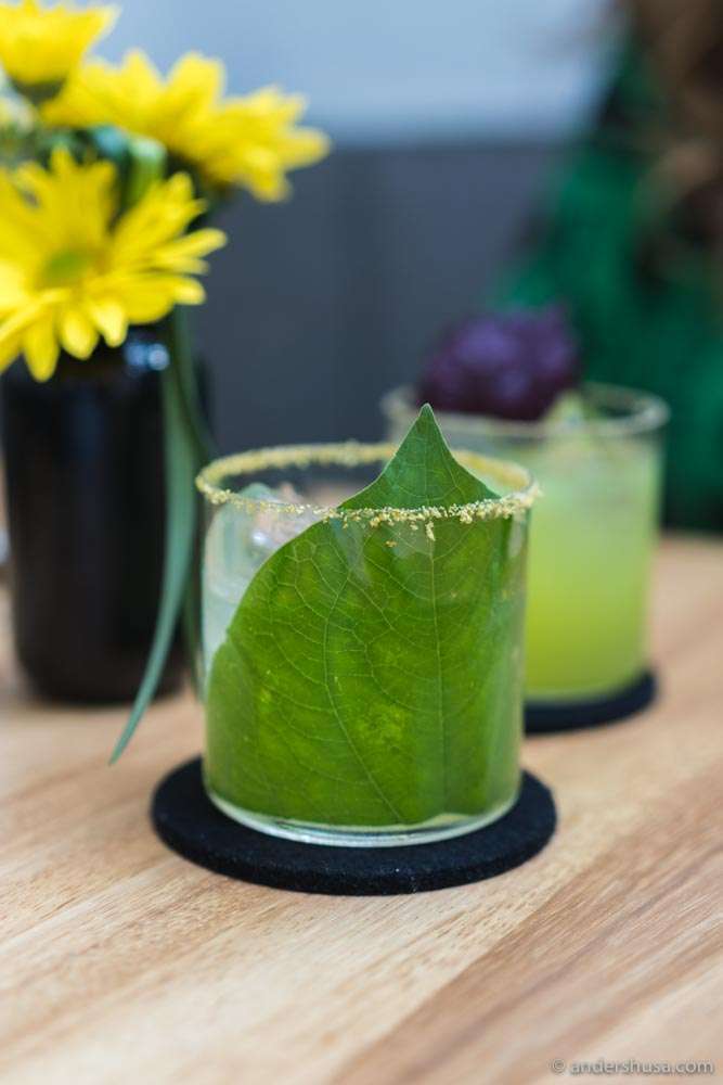 Video: Pujol - Chef Enrique Olvera's Restaurant in CDMX