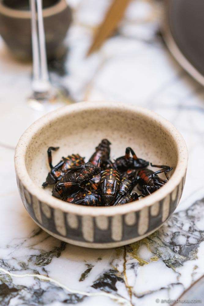 Video: Quintonil - Contemporary Mexican Cuisine Rooted in Traditions