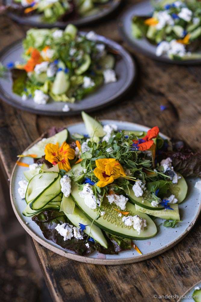 Guide: Where to Eat in Halland - Road Tripping On Sweden’s West Coast