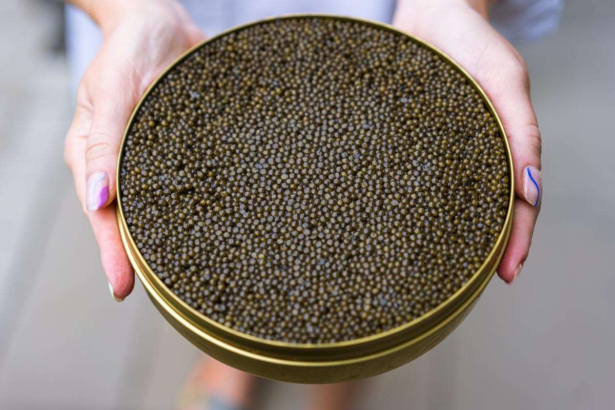 The Hungries – Rossini Caviar Masterclass 2.0 on September 7th