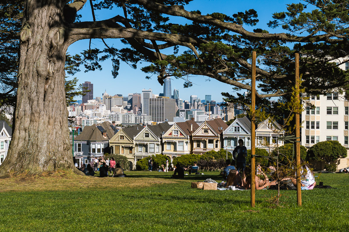Where to Eat in San Francisco - The Best Restaurants & Bars